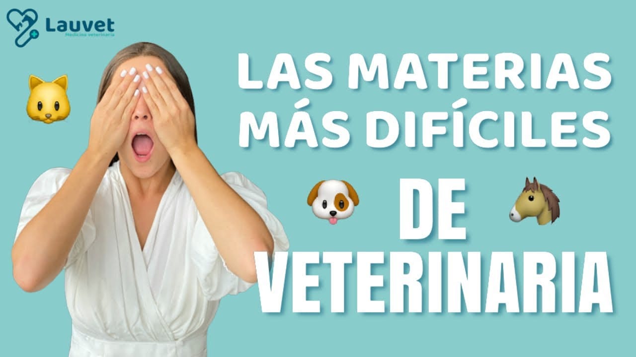 Estudiar veterinaria los fines de semana: ¡Conviértete en un experto en ...